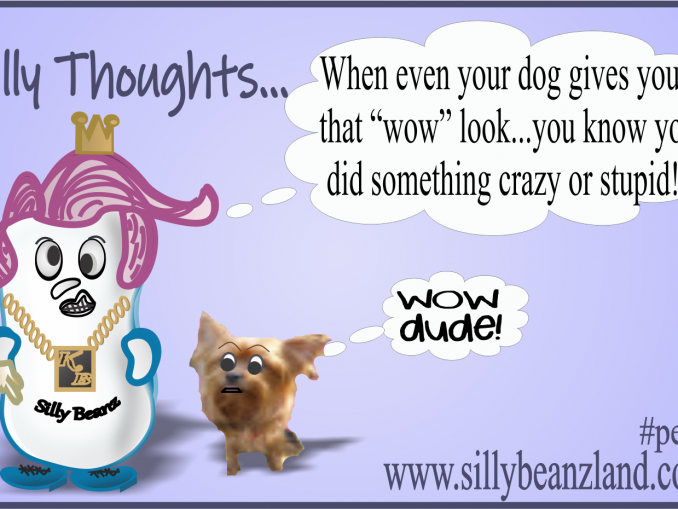 Silly Thoughts: Getting Nowhere Fast! - SillyBeanzLand