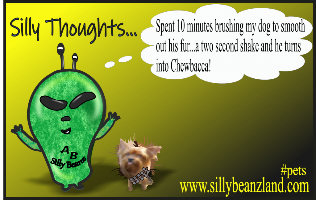 Silly Thoughts: Dog Becomes Chewbacca! - SillyBeanzLand